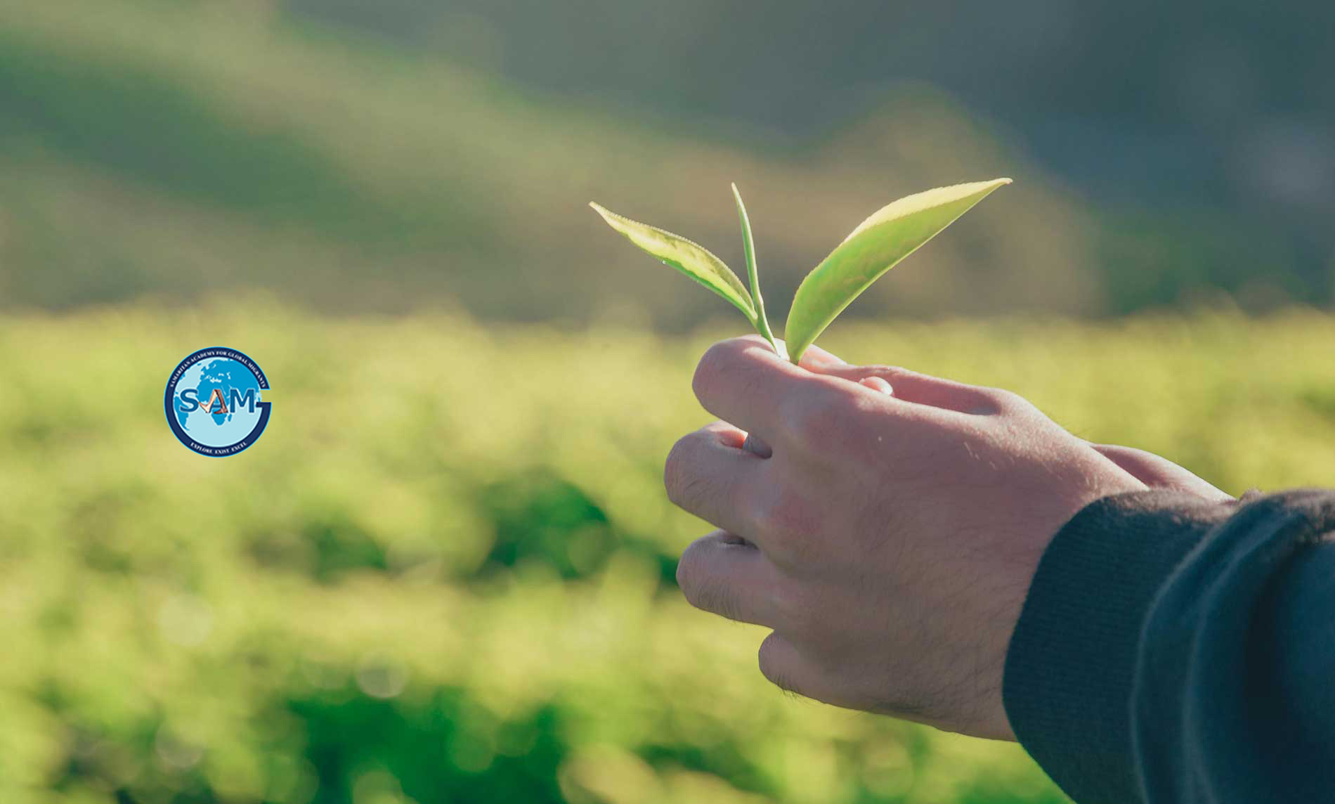 Welcome to Samaritan Academy